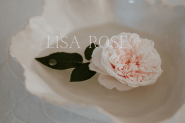 Lisa Rose Lisa Rose